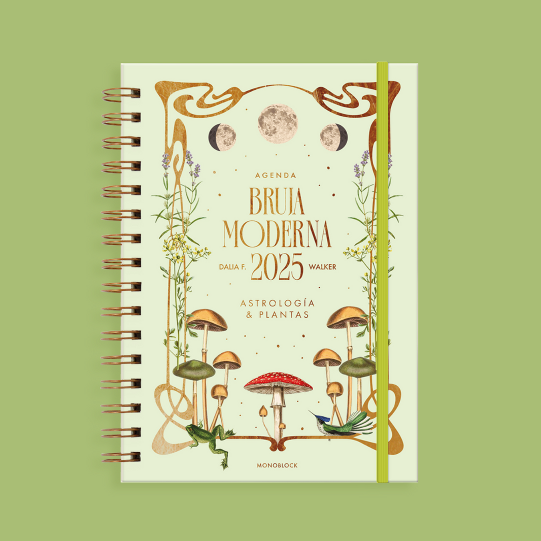 Agendas 2025 – LOLAS